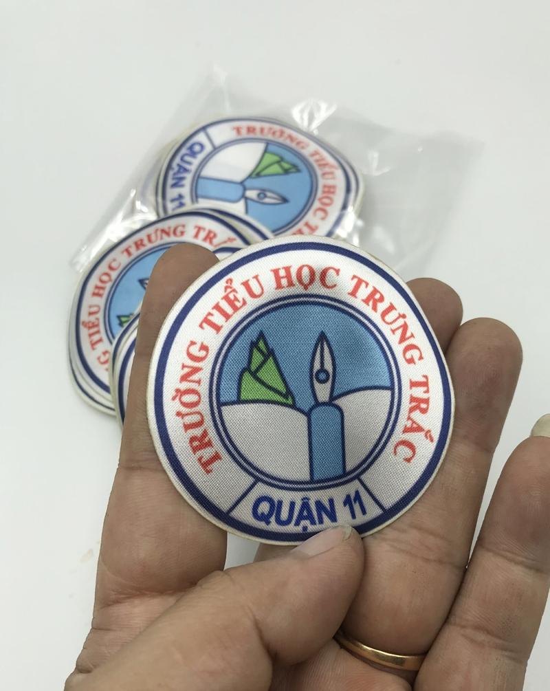 Trường Tiểu Học Trưng Trắc